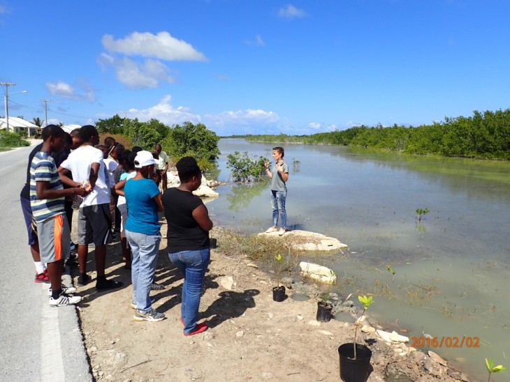 clement howell high school – Magnetic Media