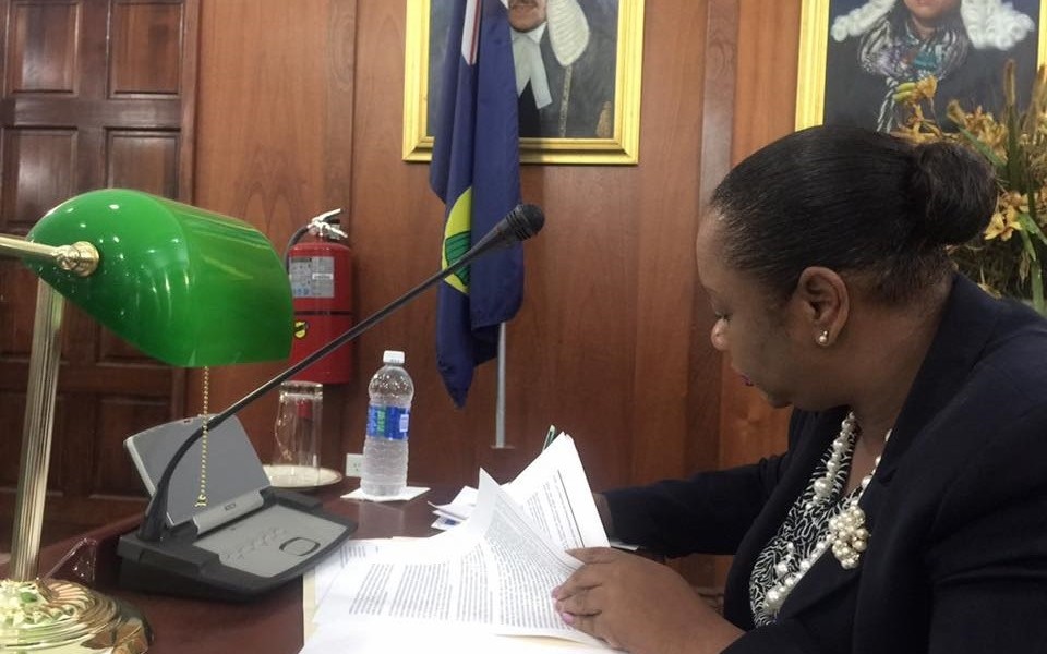 PDM reveals TCI financial plan in Budget debate – Magnetic Media