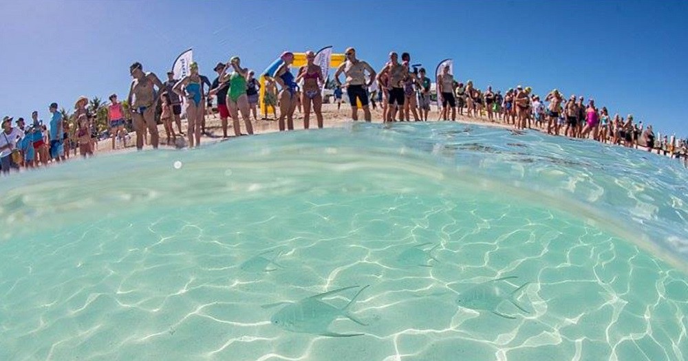 Thrilling “Race for the Conch” Swim in Grace Bay One Swimmer Makes This ...