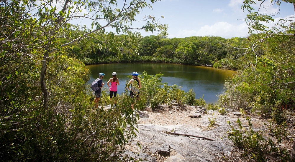 TCI Natural habitats bring $45.5m in tourism revenue per year ...