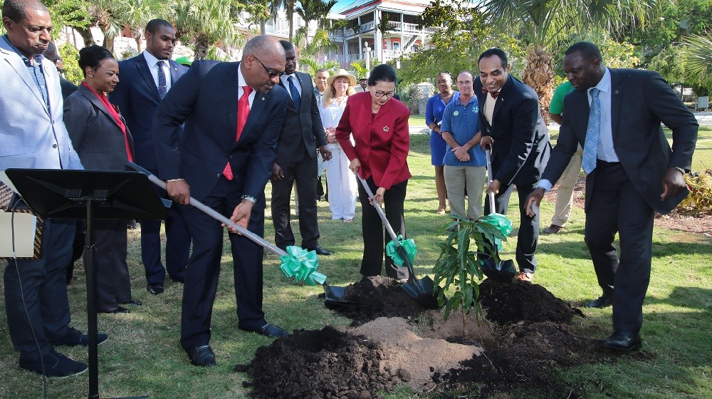 BAHAMAS: Commemorative Mango Tree Planted at Government House ...