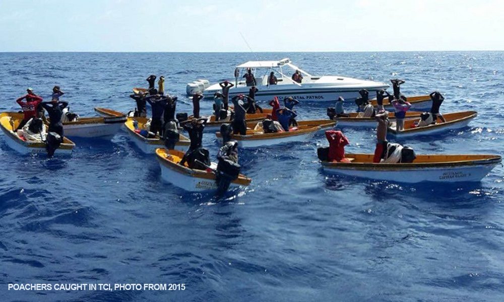 TCI: ﻿Six poaching vessels escape, but DECR makes important arrest near ...