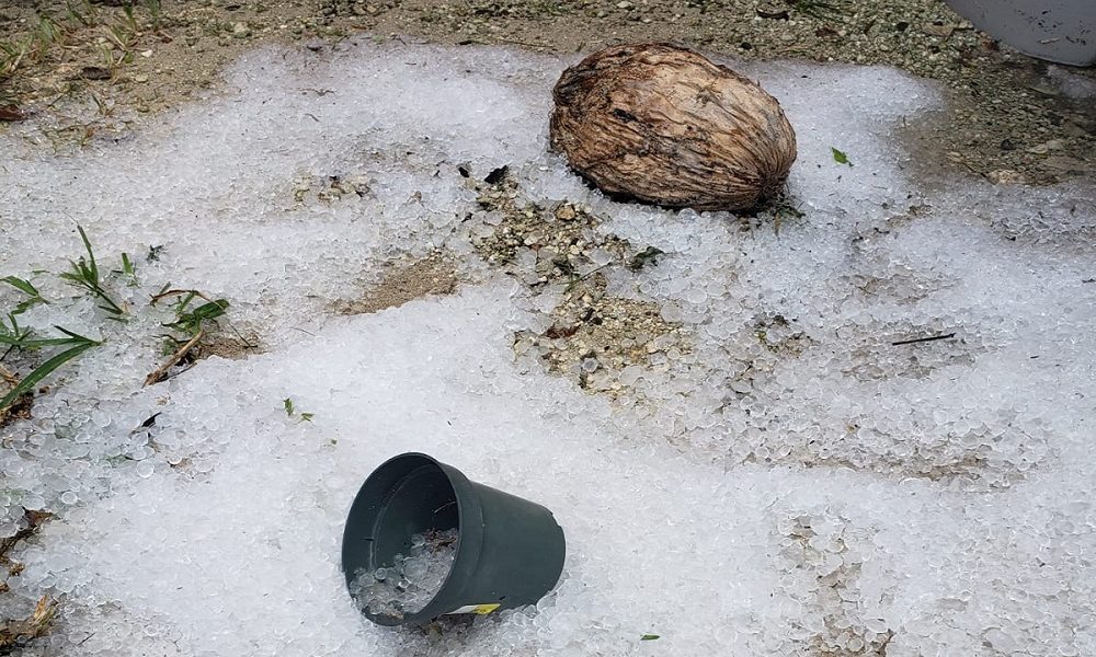 Freak weather in Grand Bahama, Marsh Habour Doppler Radar tracked the ...