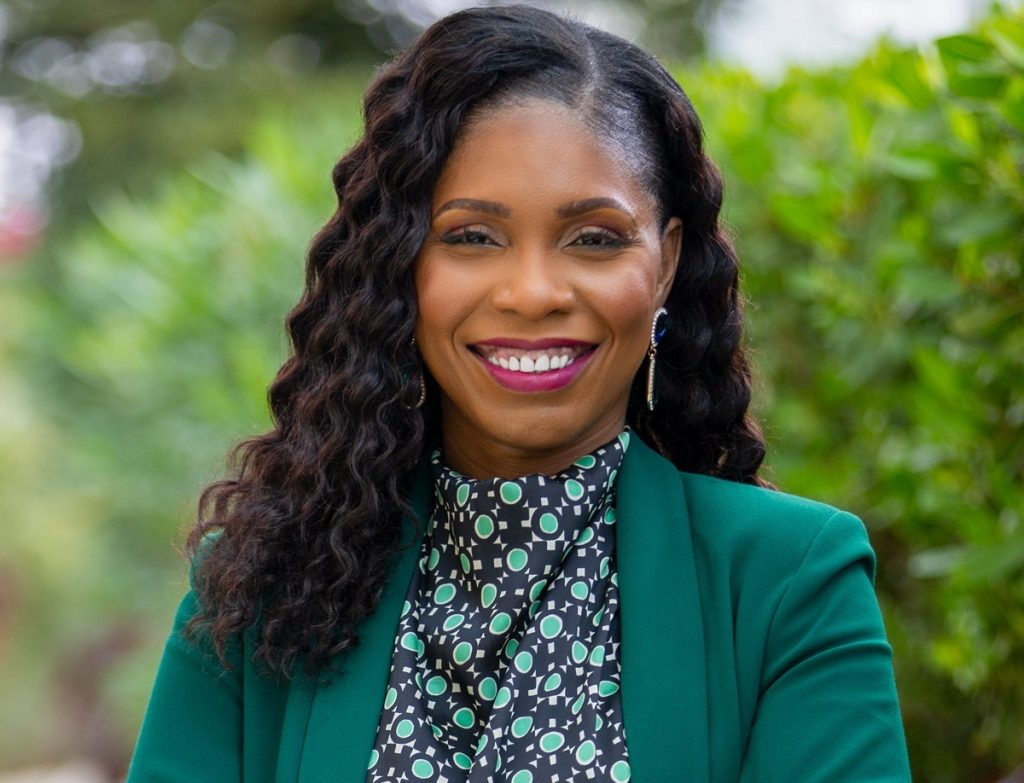 TCI: Governor’s Appointed Member to The Public Accounts Committee ...