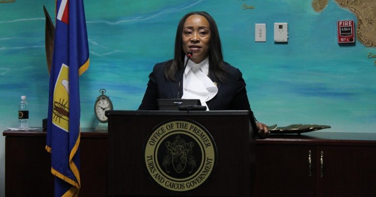 TCI: Portfolio Renamed and Expanded for Rachel Taylor – Magnetic Media