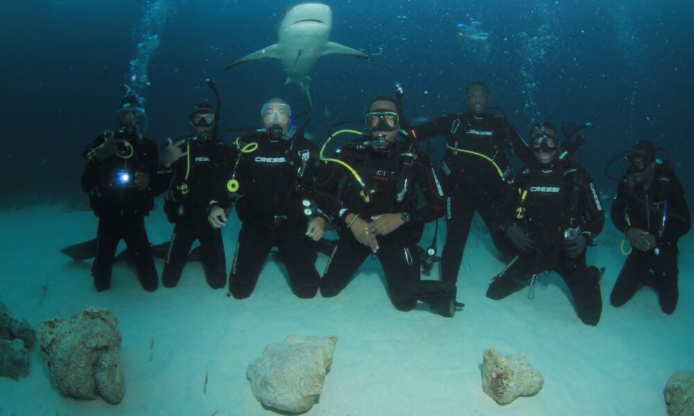 Creating and Maintaining a Sustainable Future for Diving Within the ...