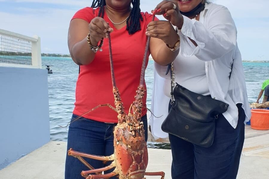 Start of the Spiny Lobster Season 2021-2022 – Magnetic Media