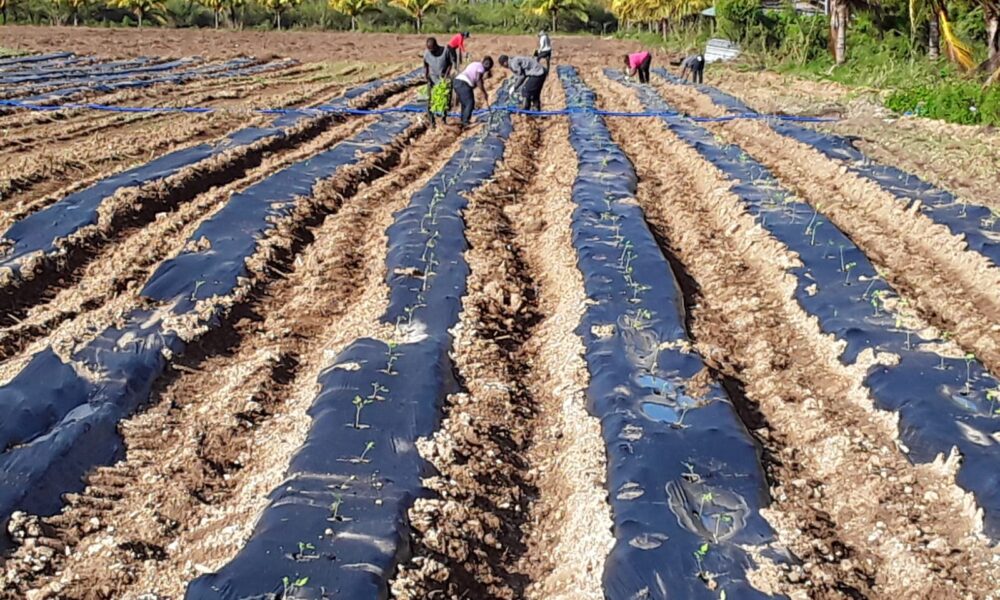 New Chairman Looks to Grow BAMSI – Magnetic Media