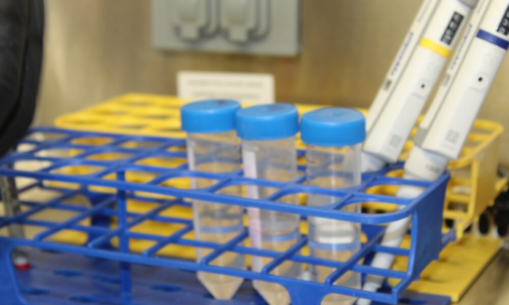 Grand Turk Lab weeks from completion – Magnetic Media