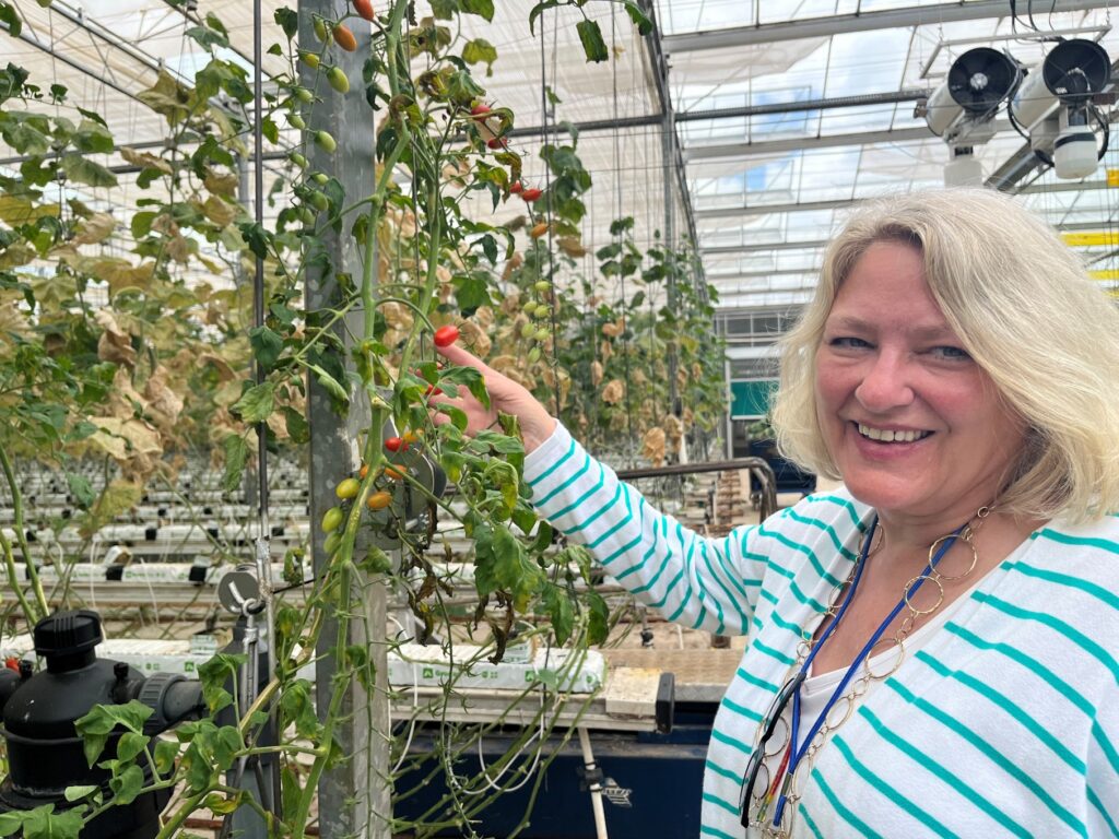 ADO Tours Lucayan Produce, Farming support NGO continues fact-finding ...