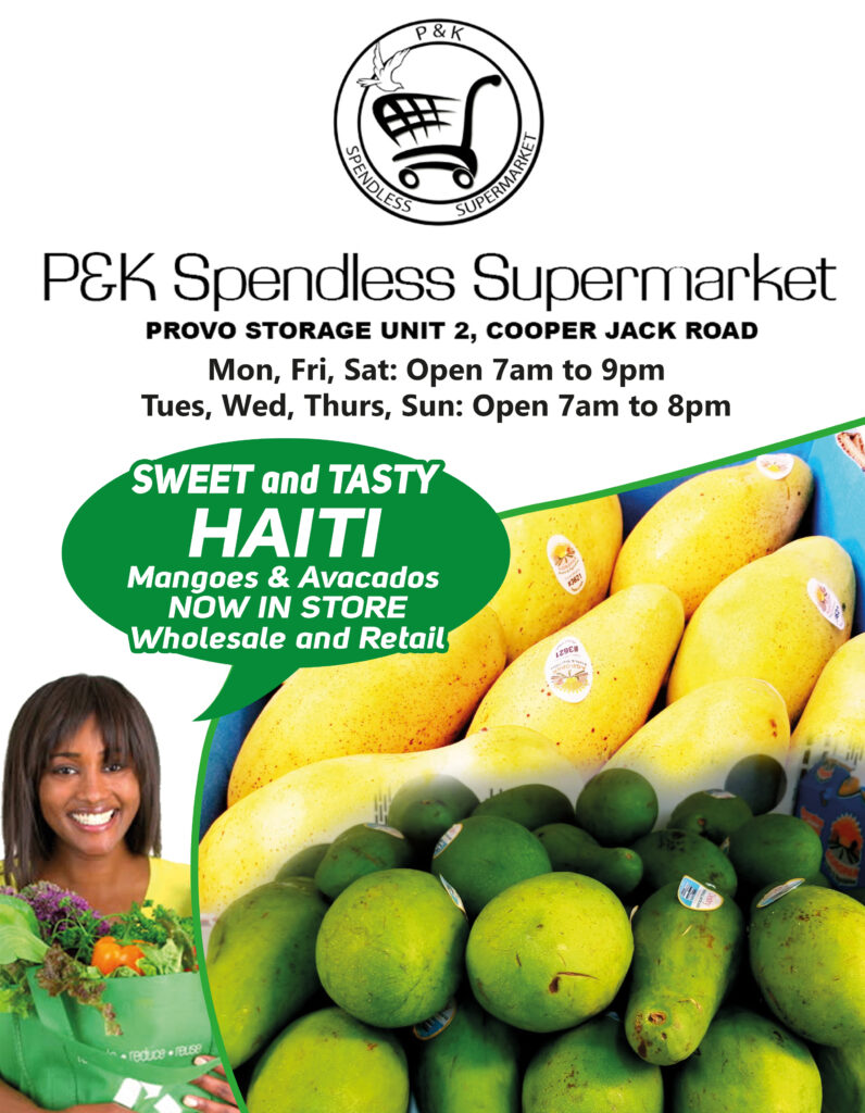 TCI Police Open Online application process for Police Records; 10 day ...