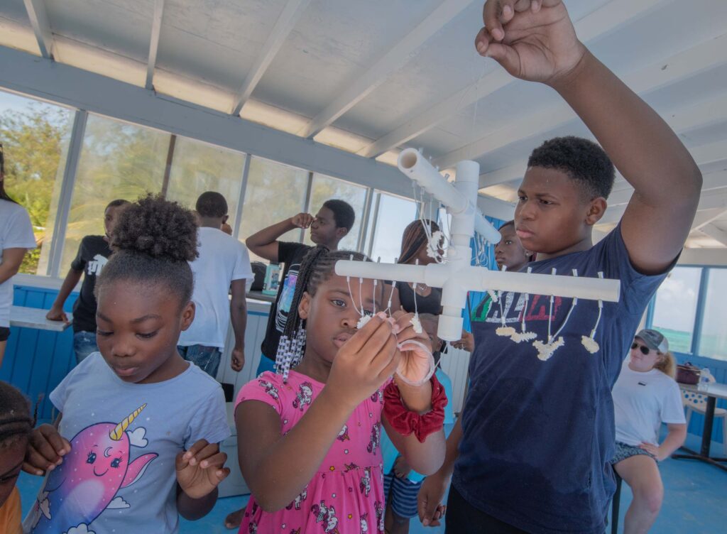 TCI Police Open Online application process for Police Records; 10 day ...