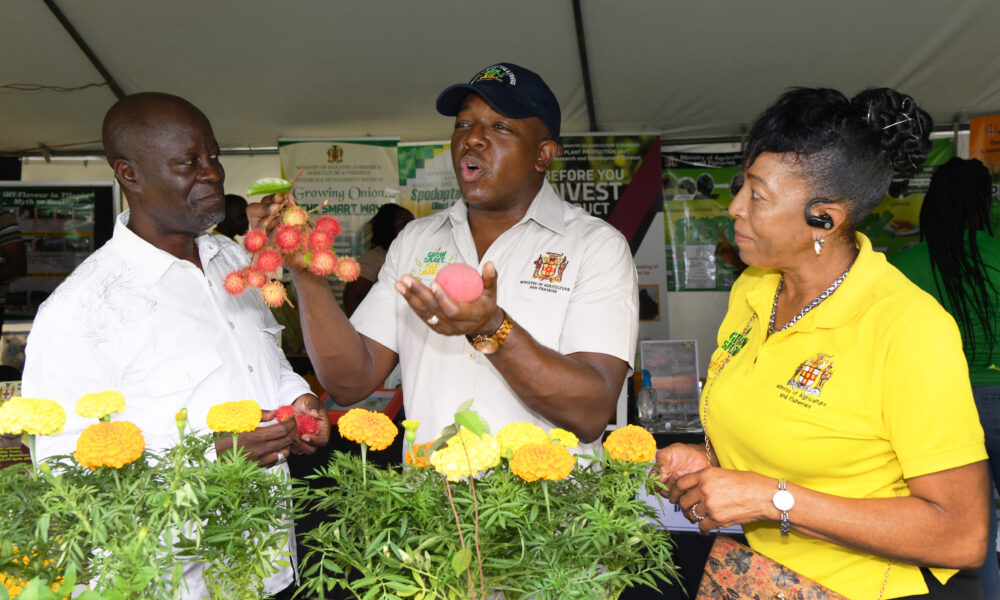 JAMAICA: Agriculture Ministry to Engage Teachers on ‘Grow Smart, Eat ...
