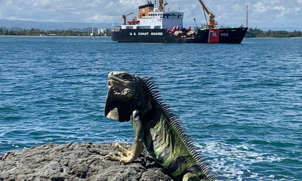 US Coast Guard rescues 55 migrants near Puerto Rico; activity in Mona ...