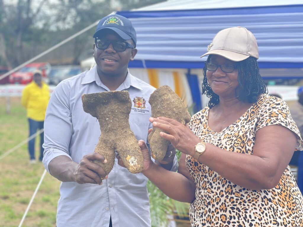 Record Domestic Crop Production for Trelawny – Magnetic Media