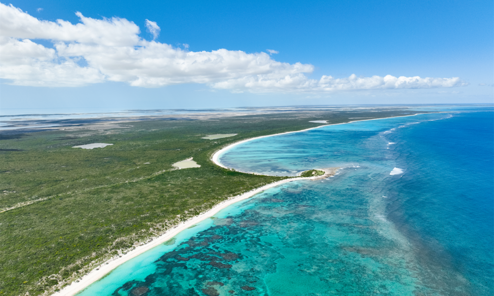 Alarm! Land for Sale on ‘Carbon Eating’ East Caicos; Caribbean’s ...