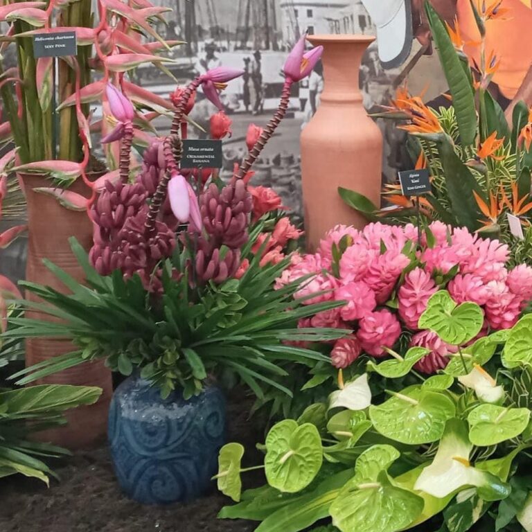 Caribbean Islands win gold medals at Flower Show in the UK – Magnetic Media