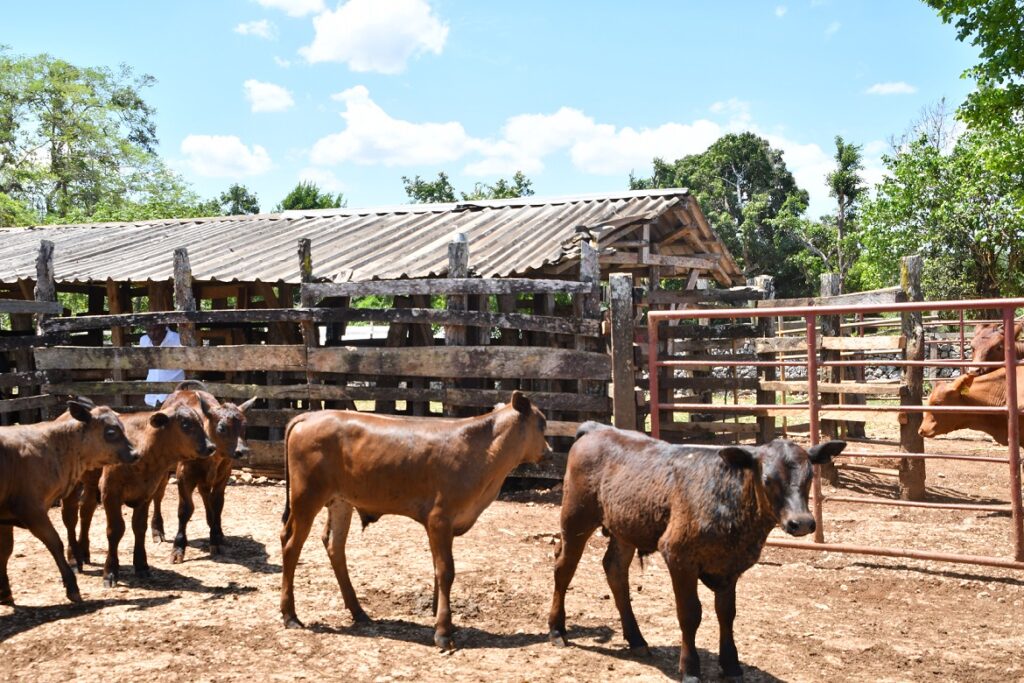 JAMAICA: Agricultural Scientists Encouraged to Build on Legacy of Dr ...