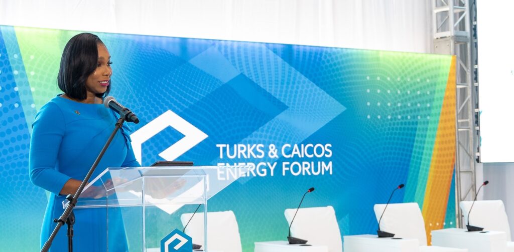 Slow and steady wins the Energy Sustainability race says CEO Ruth ...