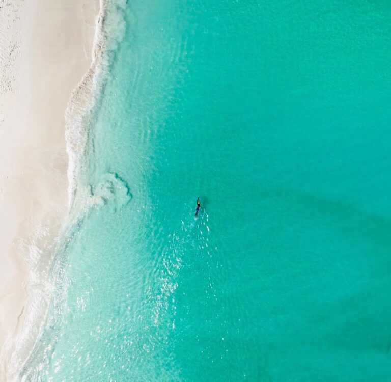 TCI Swimmer Wins Two 1st Places at “Race for the Conch” – Magnetic Media