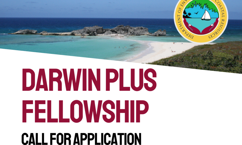 Darwin Plus Fellowship Funding Available for Turks and Caicos Islands ...