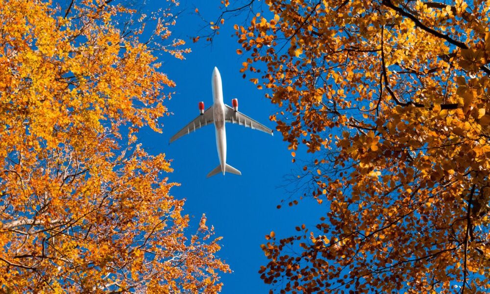 Airlines, US Fed predicting Fall Cool Down as Post Pandemic Boom wanes ...