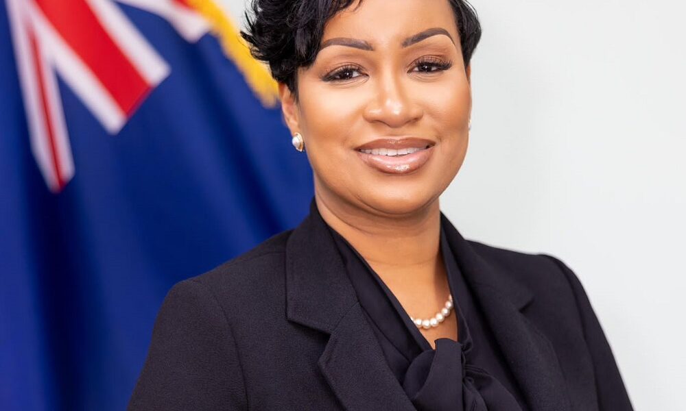 Remarks by delivered by Her Excellency Anya Williams Deputy Governor ...