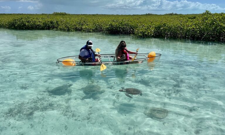 20 Best things to do in Turks and Caicos Islands highlights local ...