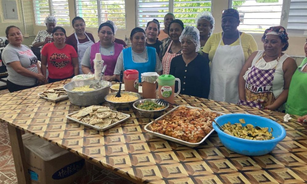 FAO Food Programme gets important work done in December for Students ...