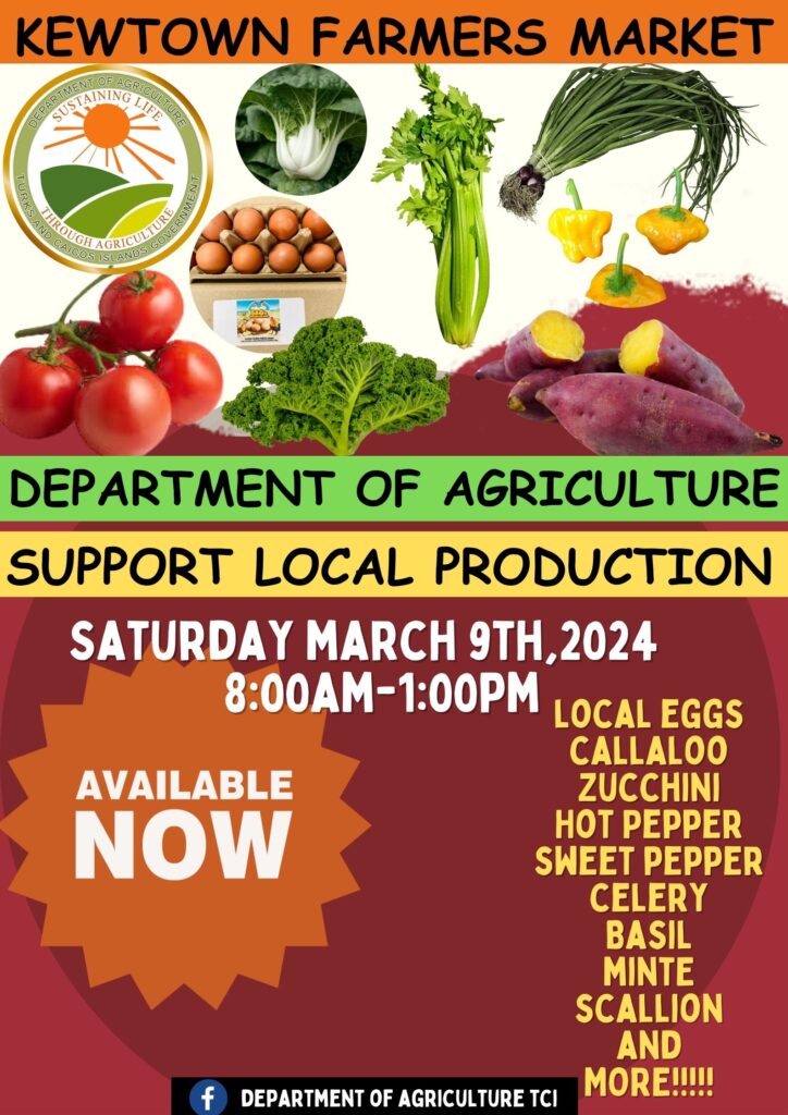 Discharge of Firearm and Female Injured – Magnetic Media