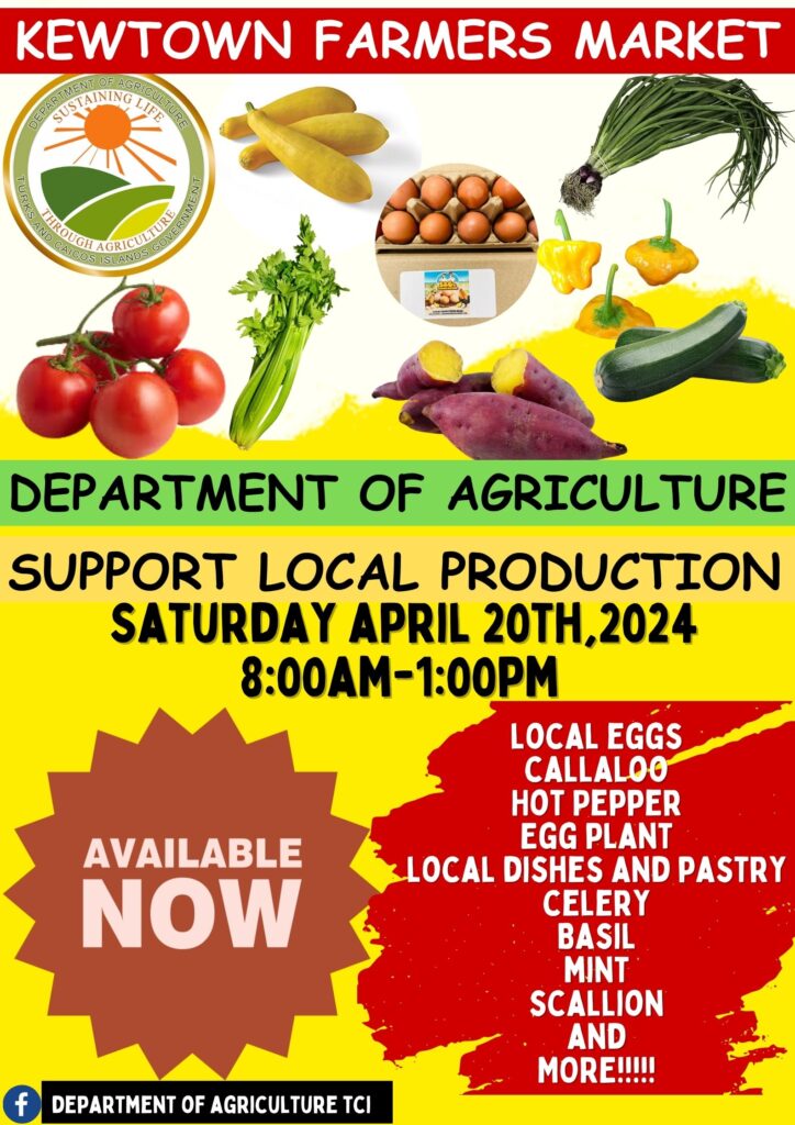 Ralph Higgs blasts ‘Biggest Budget’ bragging, calls Premier “do nothing ...