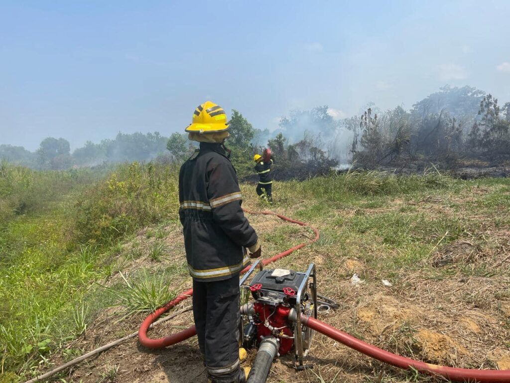 Wildfires continue burn in the region – Magnetic Media