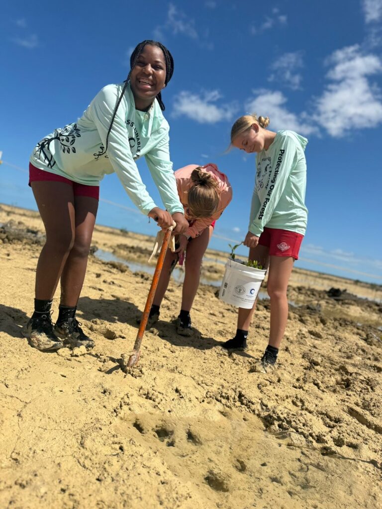 National Mangrove Project Flourishes as Grand Bahama Students Plant at ...
