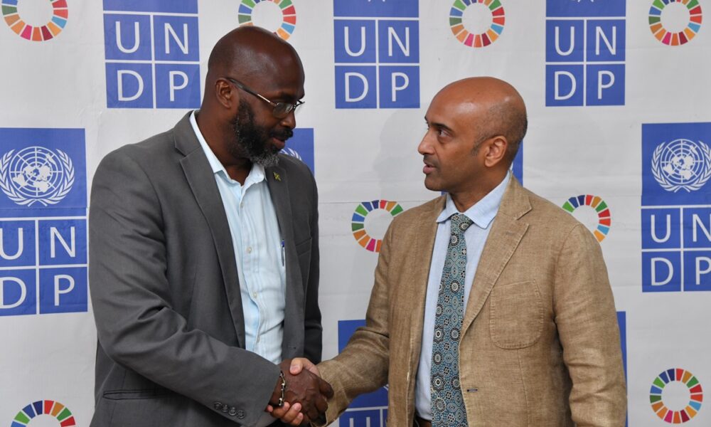 UNDP ready to scale up disaster risk resilience support – Resident ...