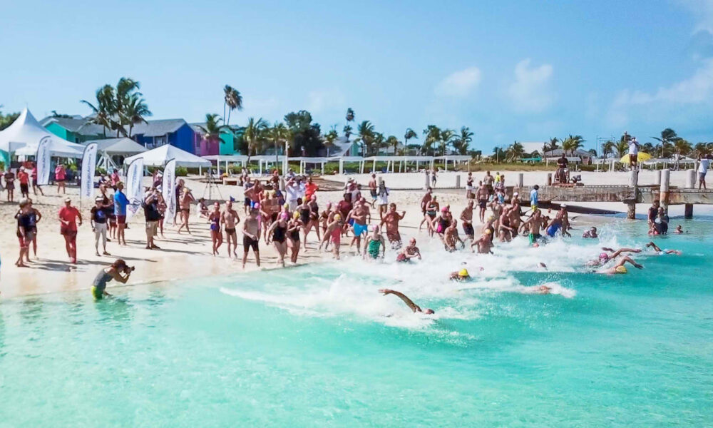 Getting Ready for the “Race for the Conch” – Magnetic Media