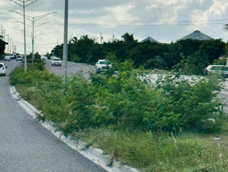 Bahamas Realty 2016 Top Producer Monica Knowles Sees Shift in Luxury ...