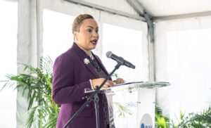 First Bahamian Woman at helm of Bahamas Power and Light; Toni Seymour ...