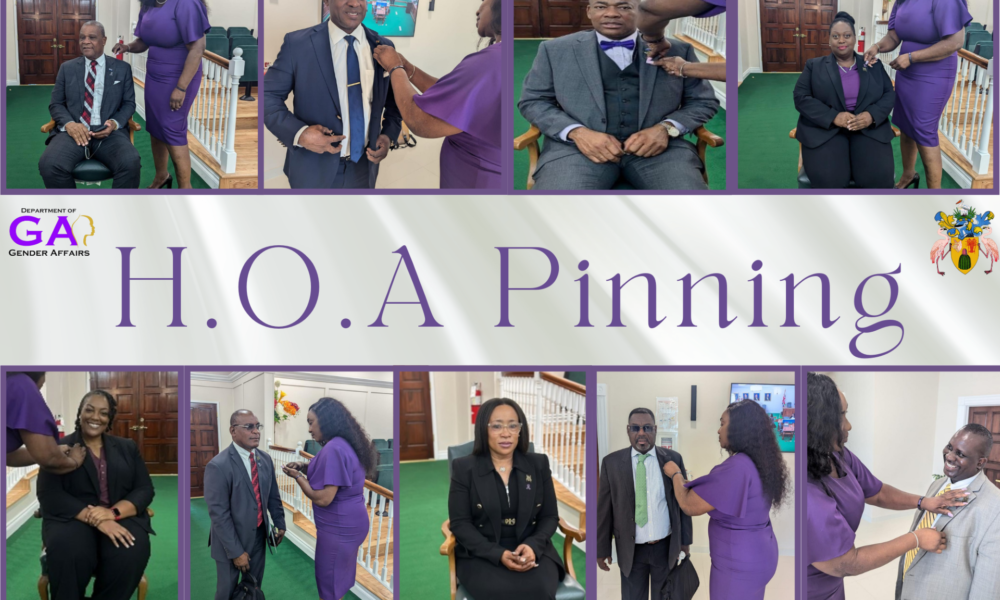 The Department of Gender Affairs, within the Ministry of Home Affairs ...