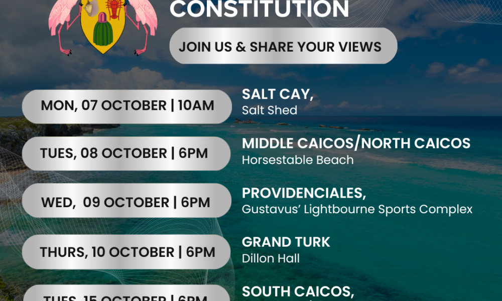 PUBLIC CONSULTATION ON THE 2024 AMENDMENTS TO THE CONSTITUTION ...