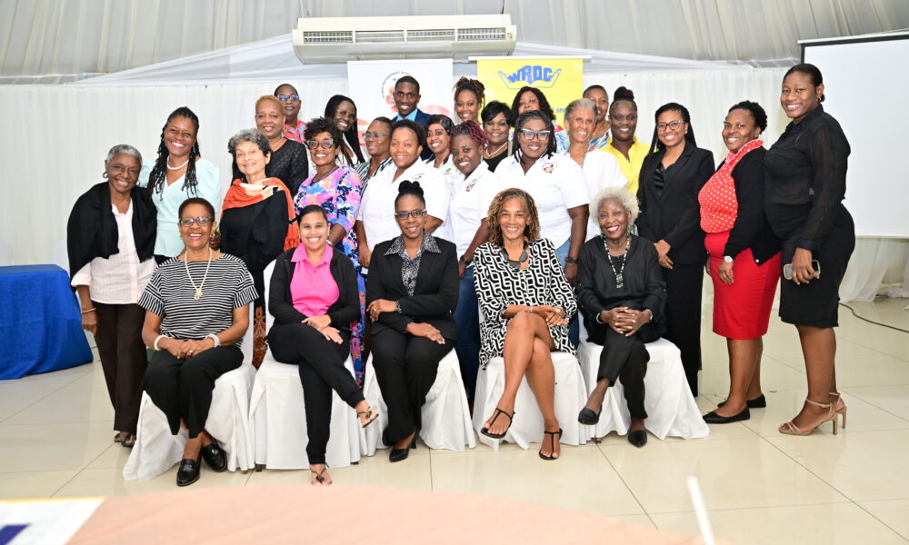 ENTITIES STRENGTHEN COLLABORATION TO FIGHT GENDER-BASED VIOLENCE ...