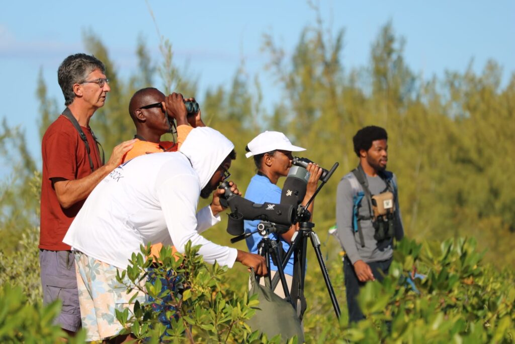 Andros Nature Tour Guides and Turks & Caicos Islands Tour Guide ...
