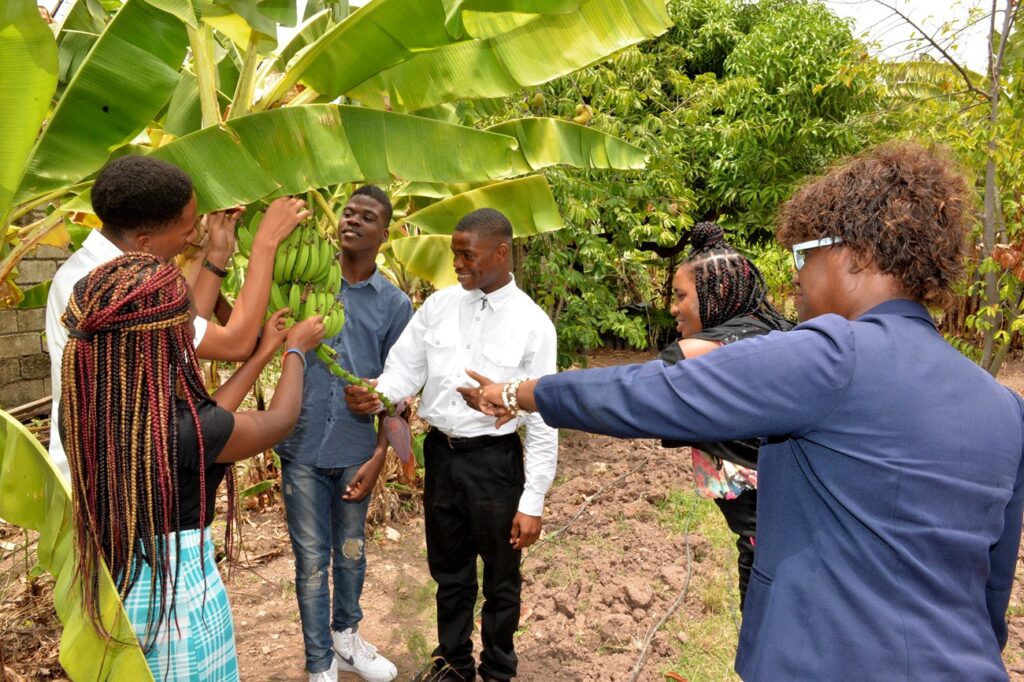 Abilities Foundation Empowering Persons With Disabilities – Magnetic Media