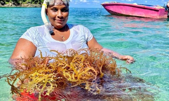 43 Nominated as Voters decide who will lead TCI into Next Decade ...