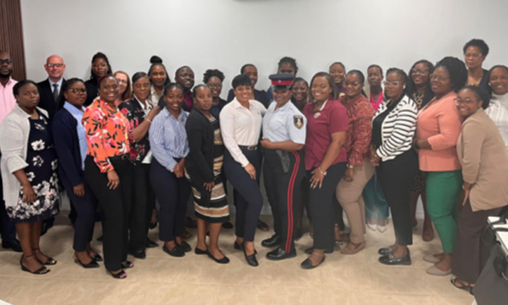 Equipping Safeguarding Professionals to Appropriately Interview ...