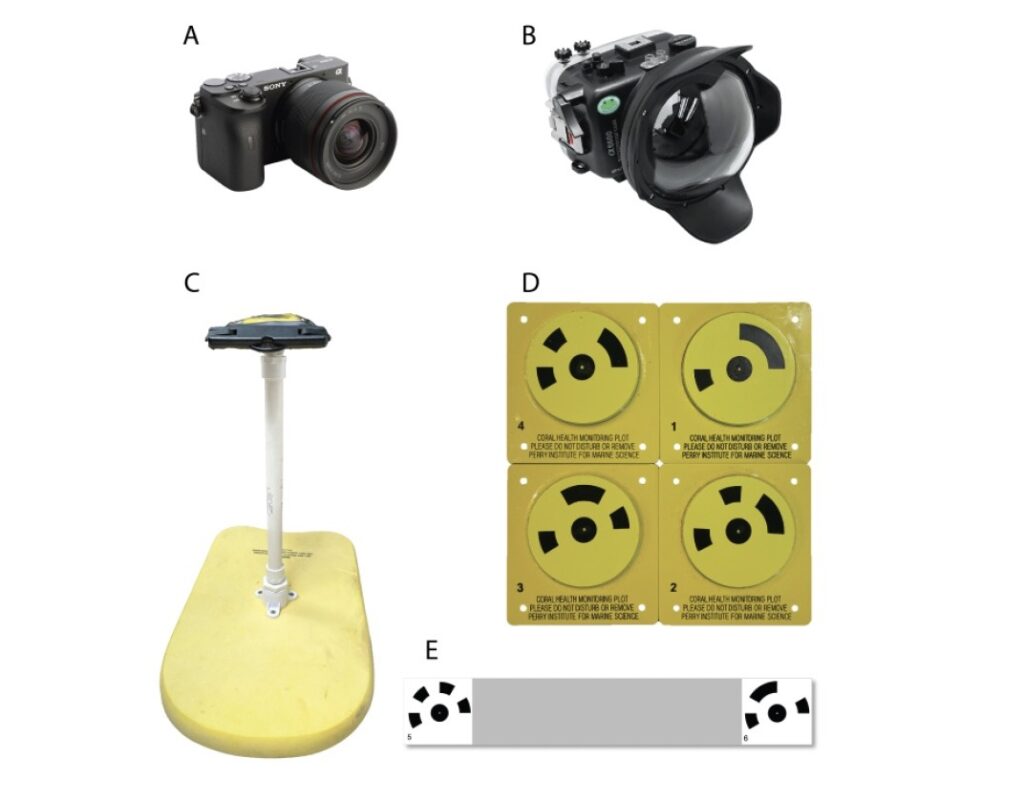 Flood watch for Northern Bahama Islands, agencies geared up – Magnetic ...