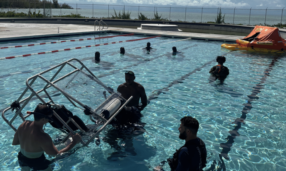 Free National Movement Announces First Round of Ratified Candidates for ...