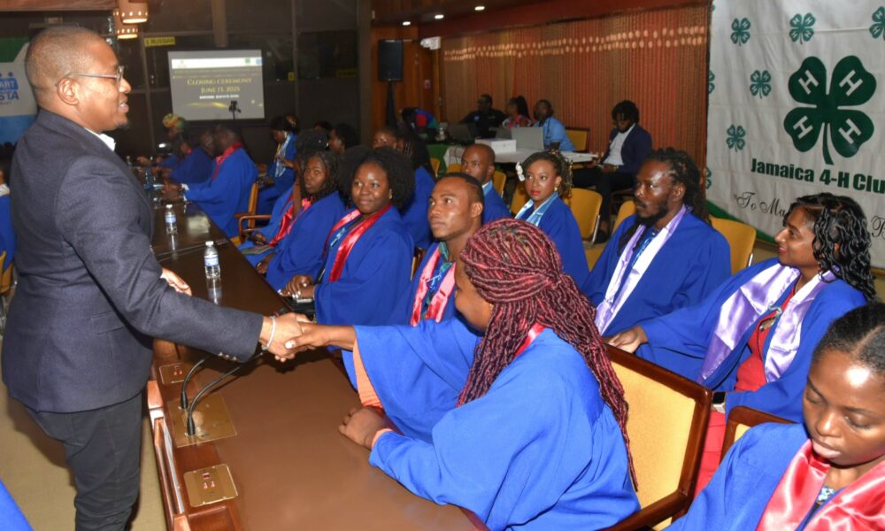 Hundreds Apply for 2025/26 RYEEP Builder – Magnetic Media