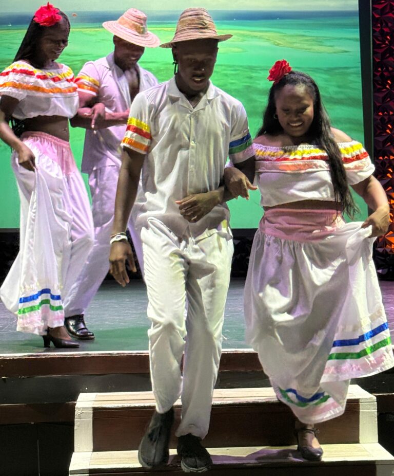 TCI Police Open Online application process for Police Records; 10 day ...