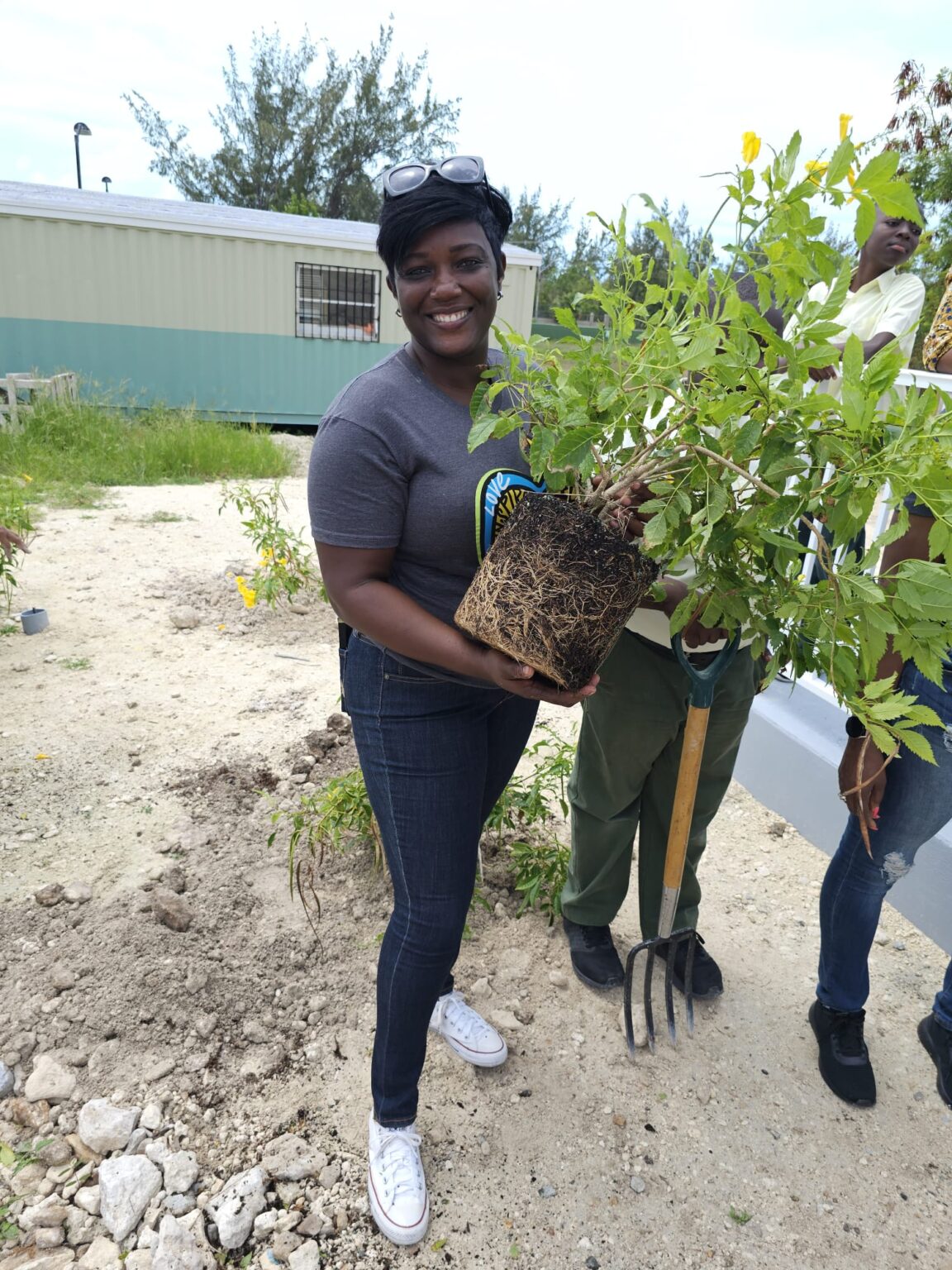 The Natives Are Restless: Pelican Energy TCI Emerges After Fortis Sale ...