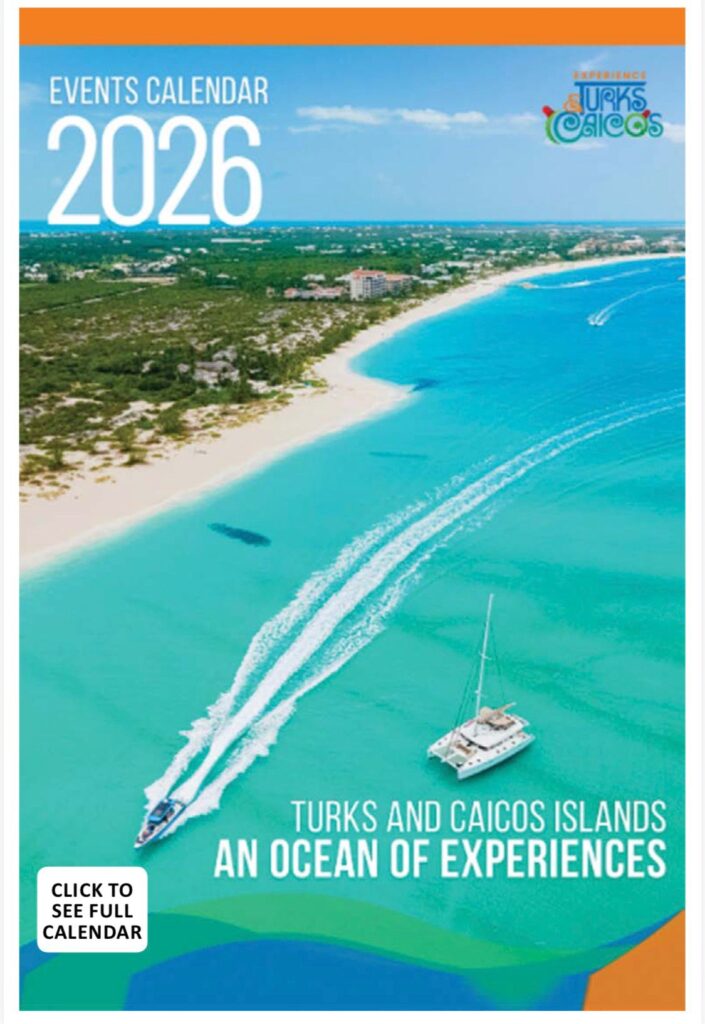 Digital Government Push Advances, but Reliability and Security Details ...